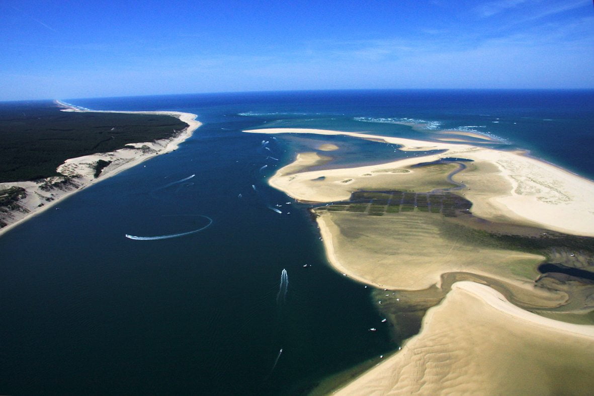Le Banc d’Arguin - Bassin d’Arcachon